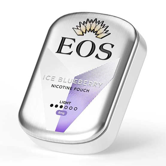 Blueberry Eos Illustration Of Blueberry Ice Cream In A Bowl On White
