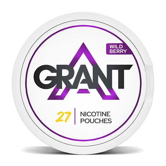 Products – Page 2 – Nic Pouch UK